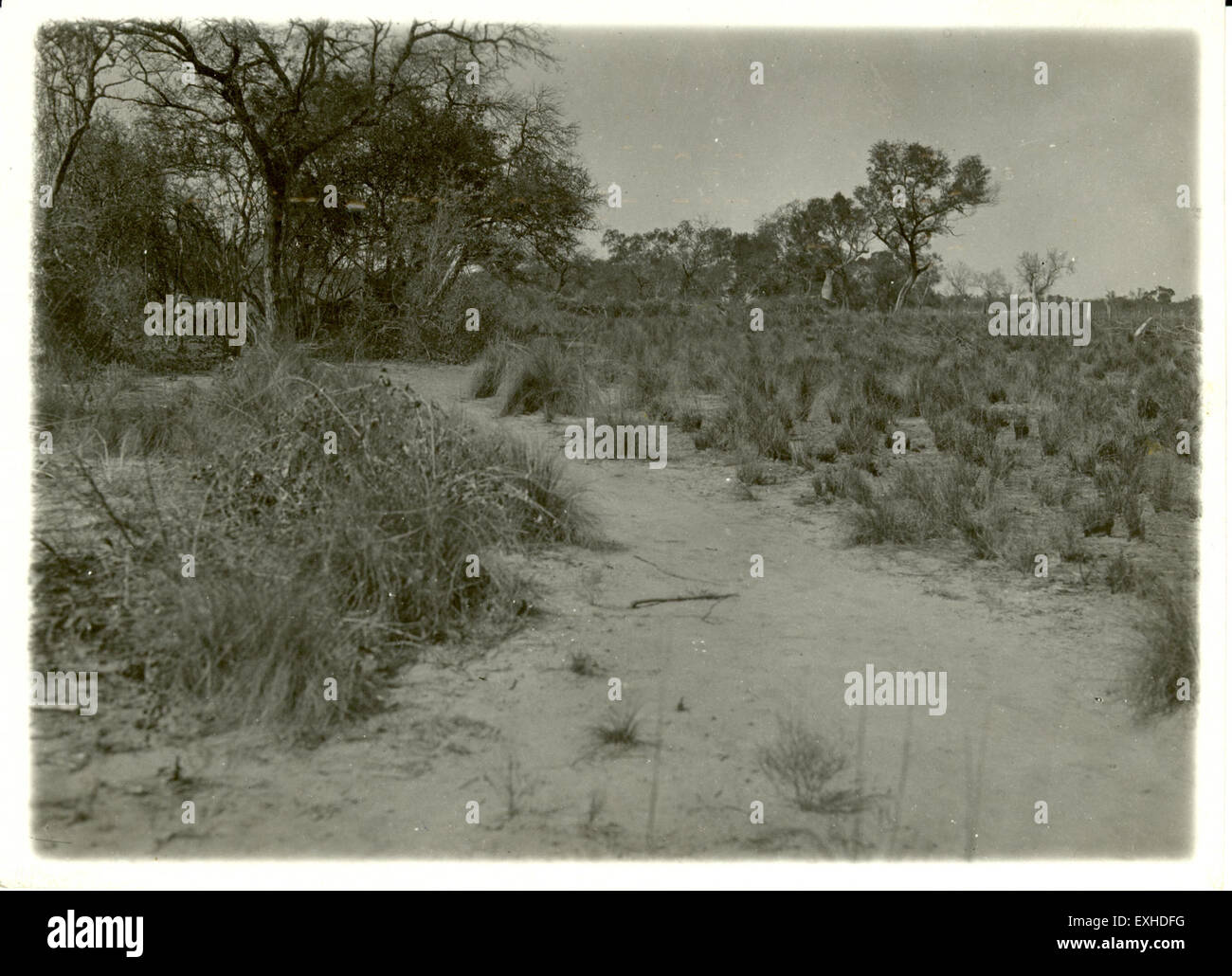 Hoffnungsfeld, a Mennonite community, is a historic settlement. The name refers to a place where ...