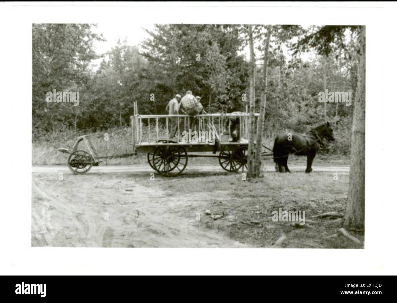 Calling lake alberta hi-res stock photography and images - Alamy