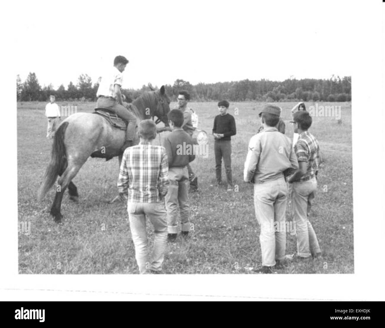 Old horse back Black and White Stock Photos & Images - Alamy