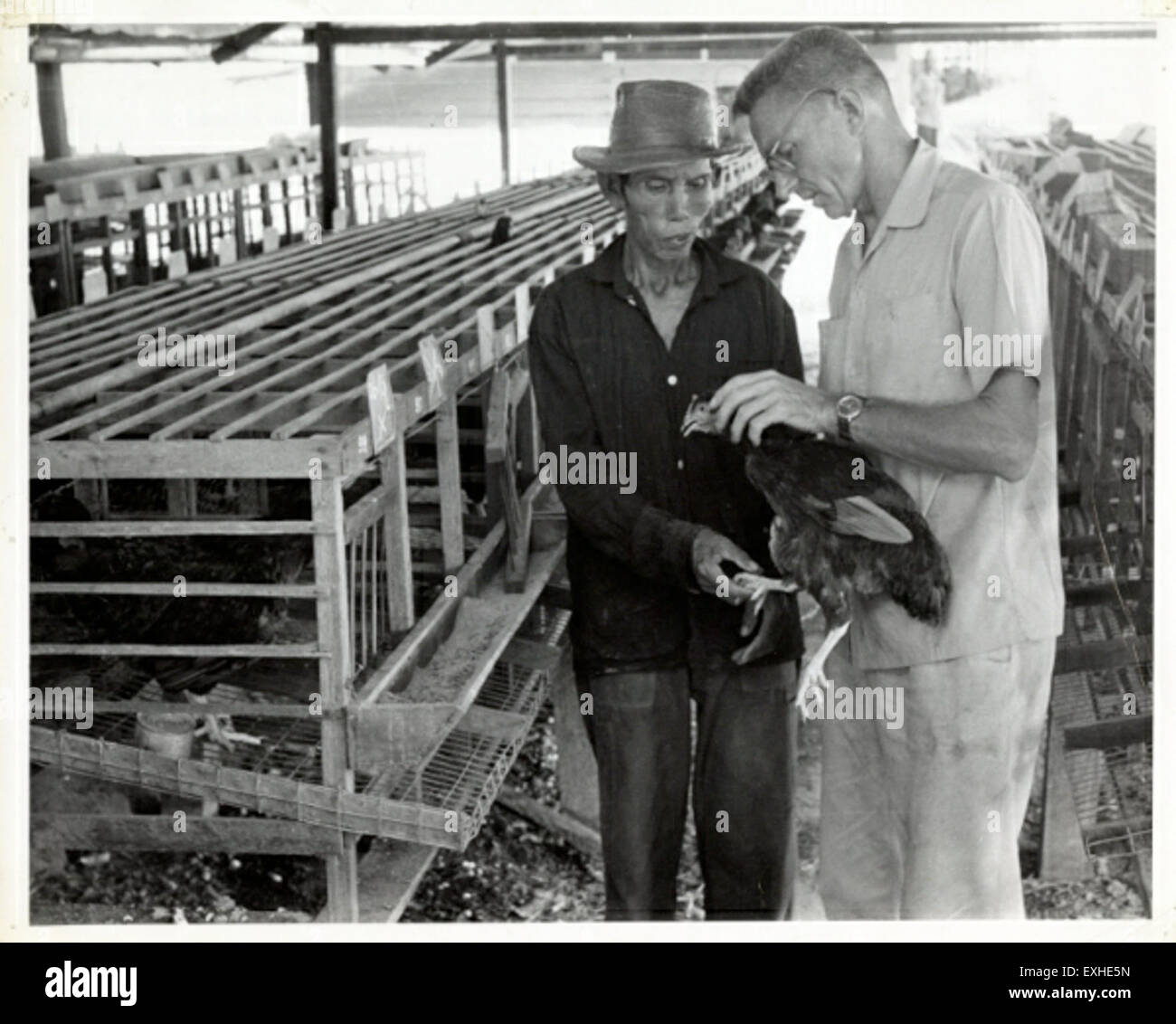 Frank zigler hi-res stock photography and images - Alamy