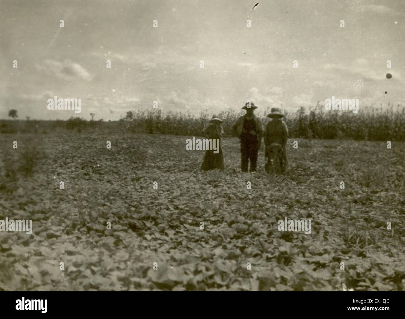 Johann r hi-res stock photography and images - Alamy