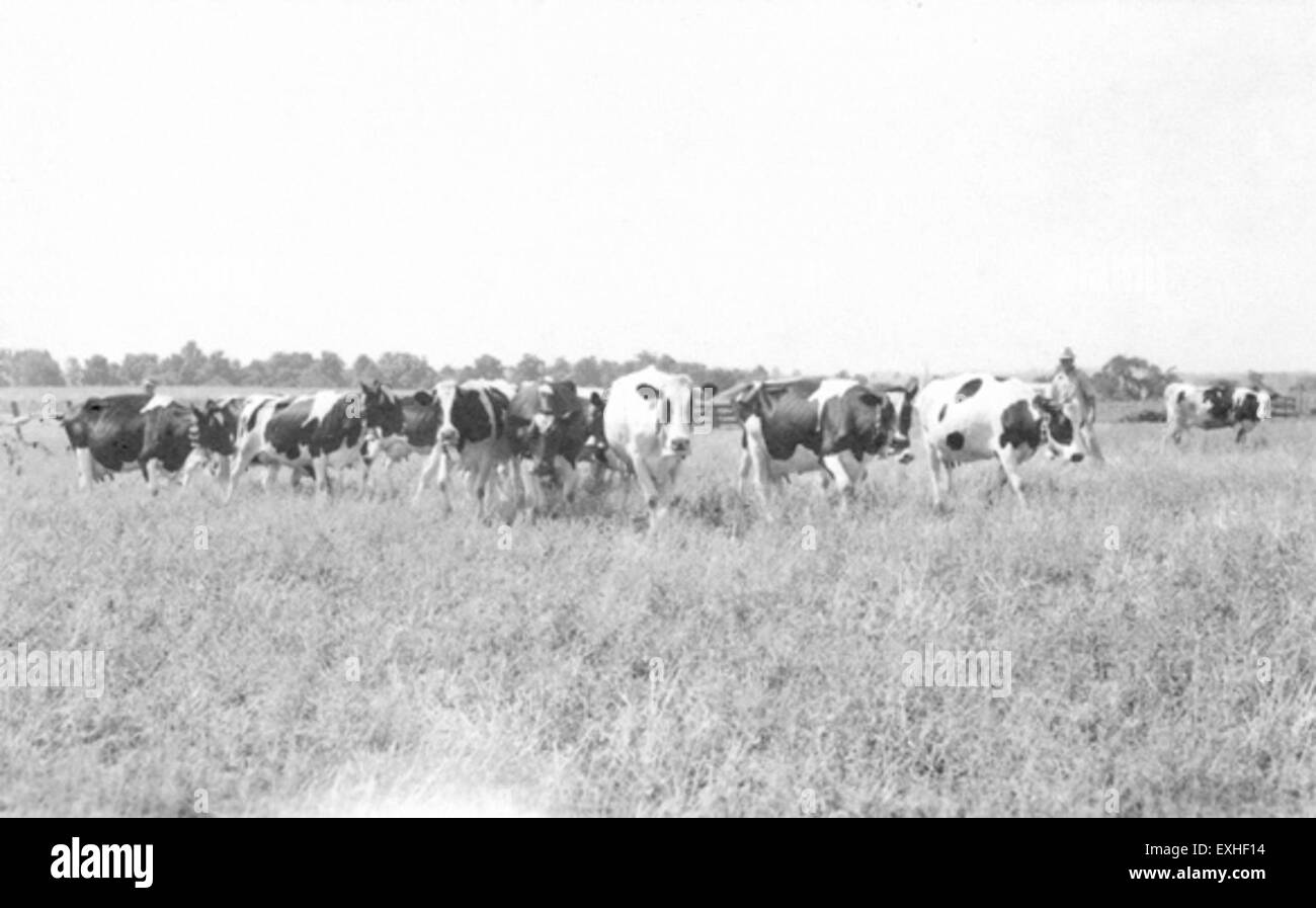 Kidron ohio hi-res stock photography and images - Alamy