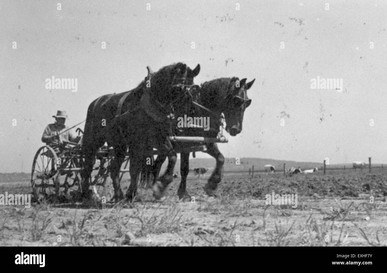 Martin lancaster hi-res stock photography and images - Alamy