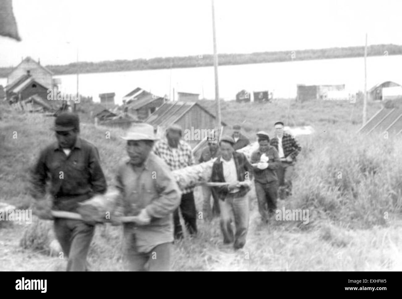 This image depicts log carrying, a traditional method of transporting ...