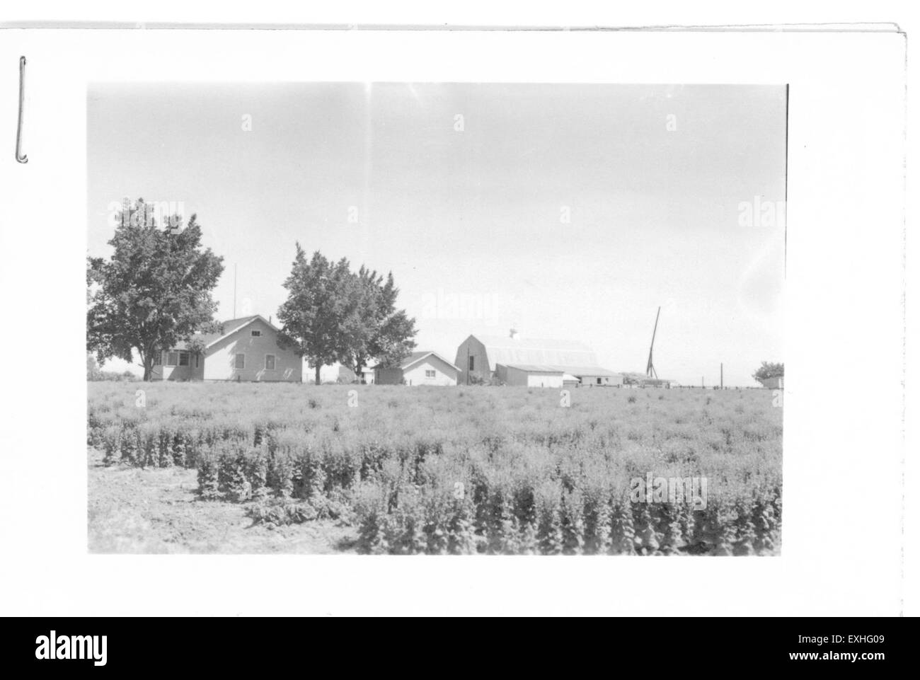 Nampa, Id High Resolution Stock Photography and Images - Alamy