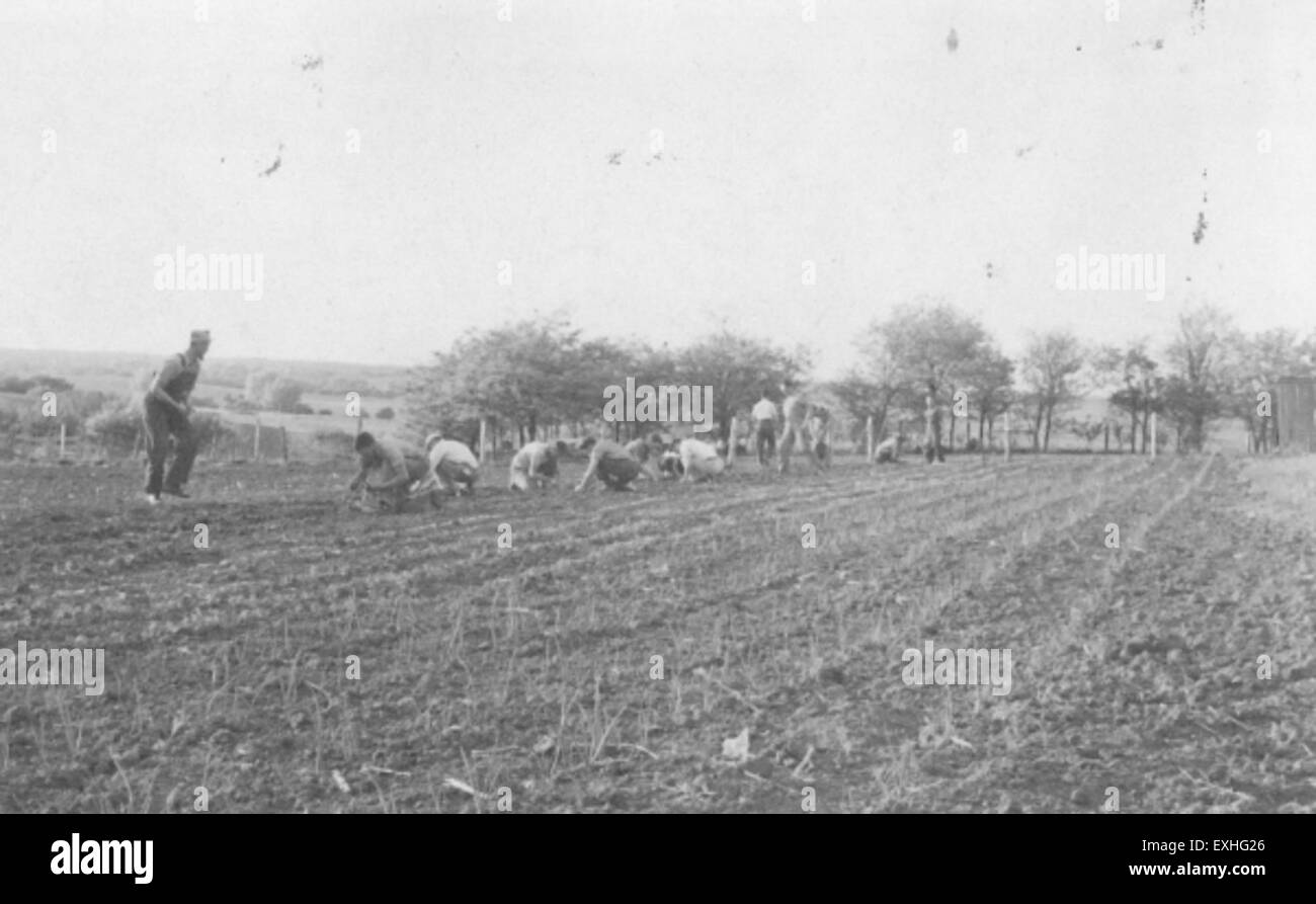 This photograph captures the Mennonite community in Malcolm, Nebraska ...
