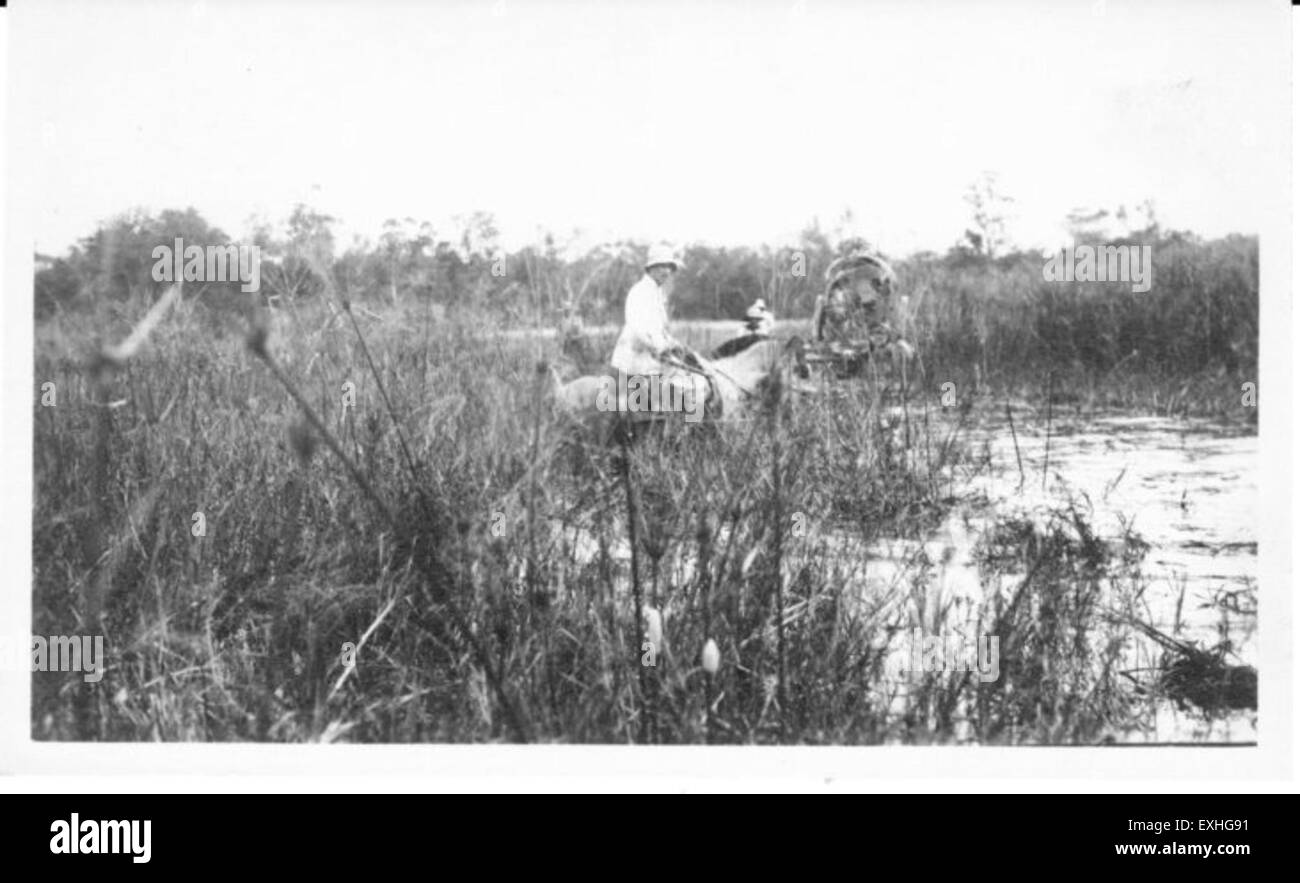 Horseman riding horse Black and White Stock Photos & Images - Alamy