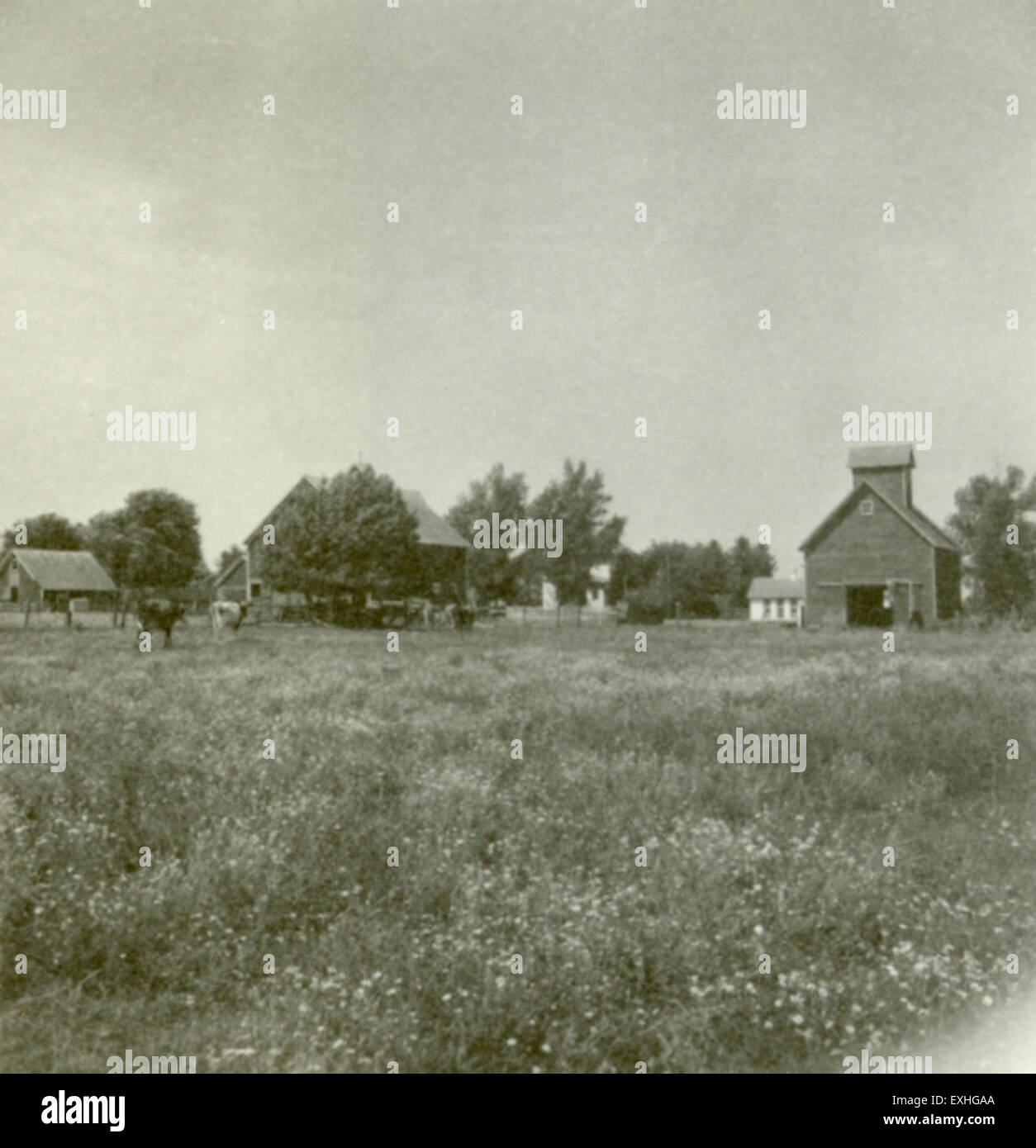 This photograph captures the rural life in Manson, Iowa, depicting the ...