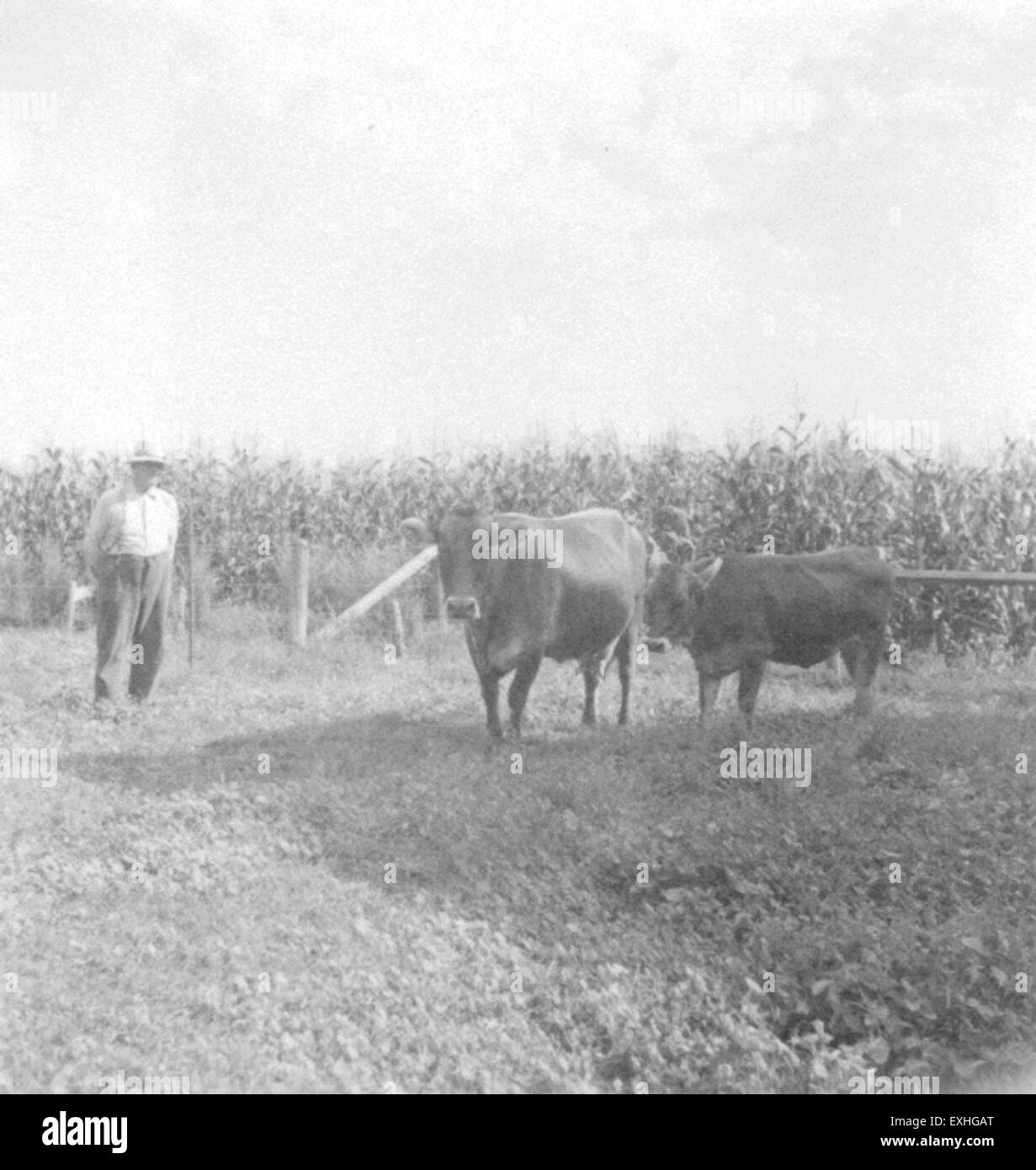 A historical view of Manson, Iowa, capturing the town’s mid-20th ...