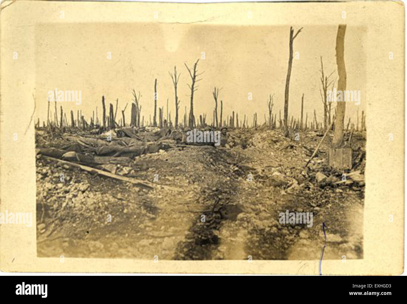 Marne Woods, located in France, is historically significant as the site ...