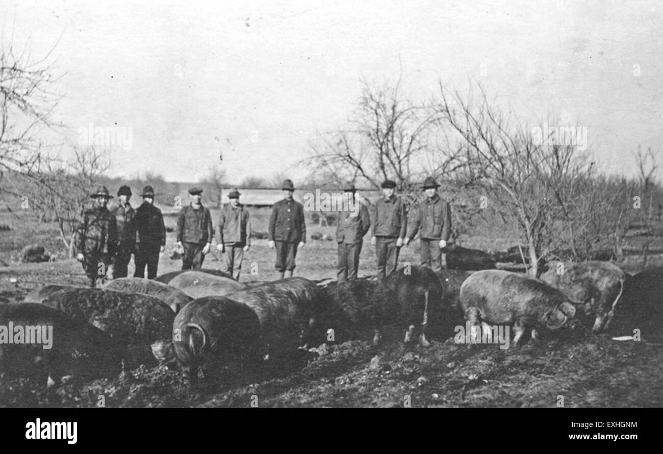 This historical image, 'Men and their Hogs' from 1836, captures the ...