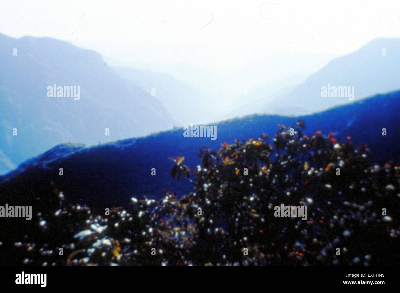 This photograph from the Mennonite World Conference Assembly in 1997 ...