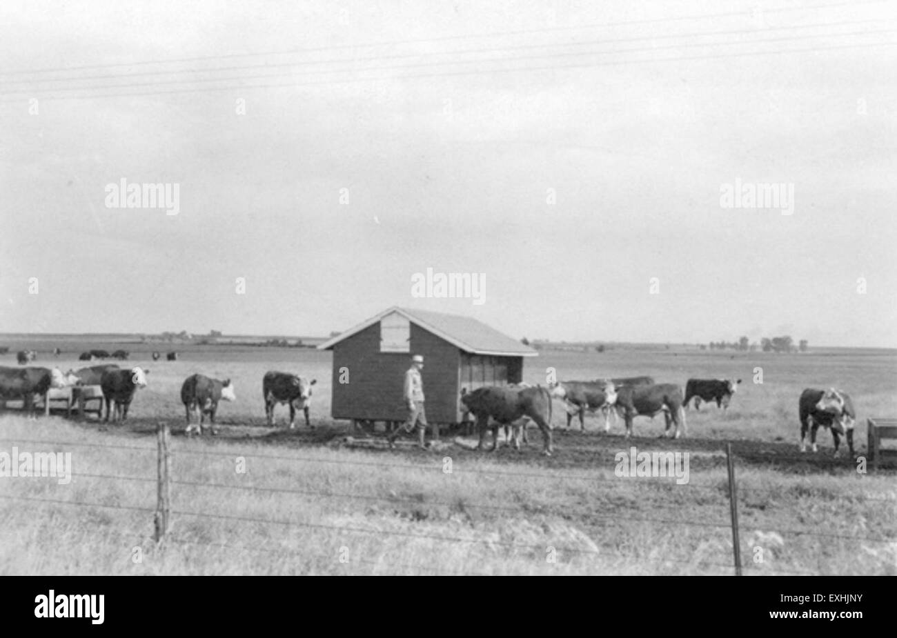 Metamora, Illinois, is depicted in this painting, showcasing its rural ...