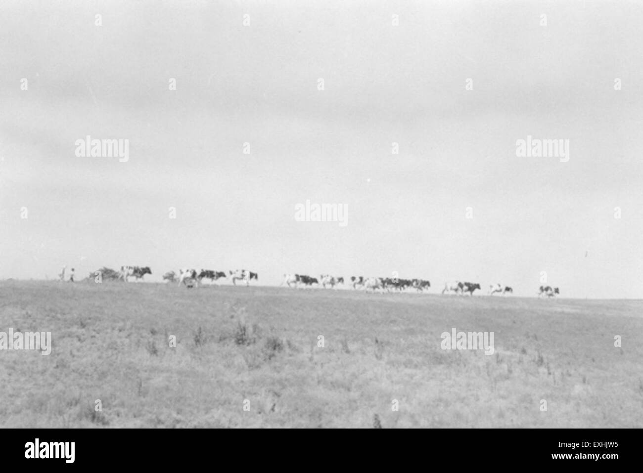 This photo from Milford, Nebraska, depicts members of the Burkey family ...