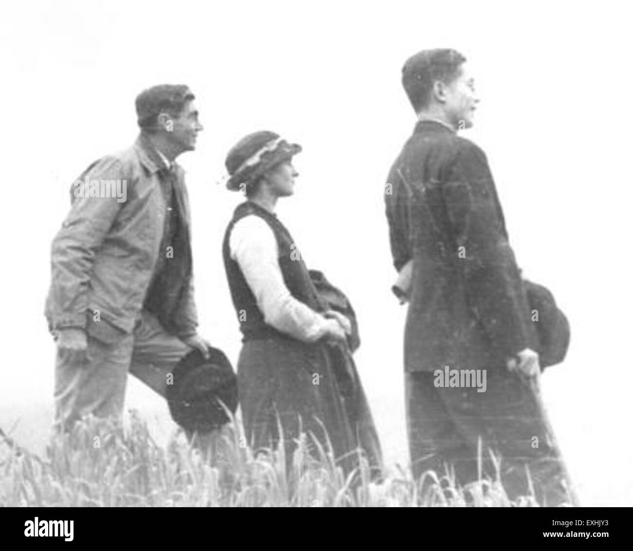 Jänke hi-res stock photography and images - Alamy