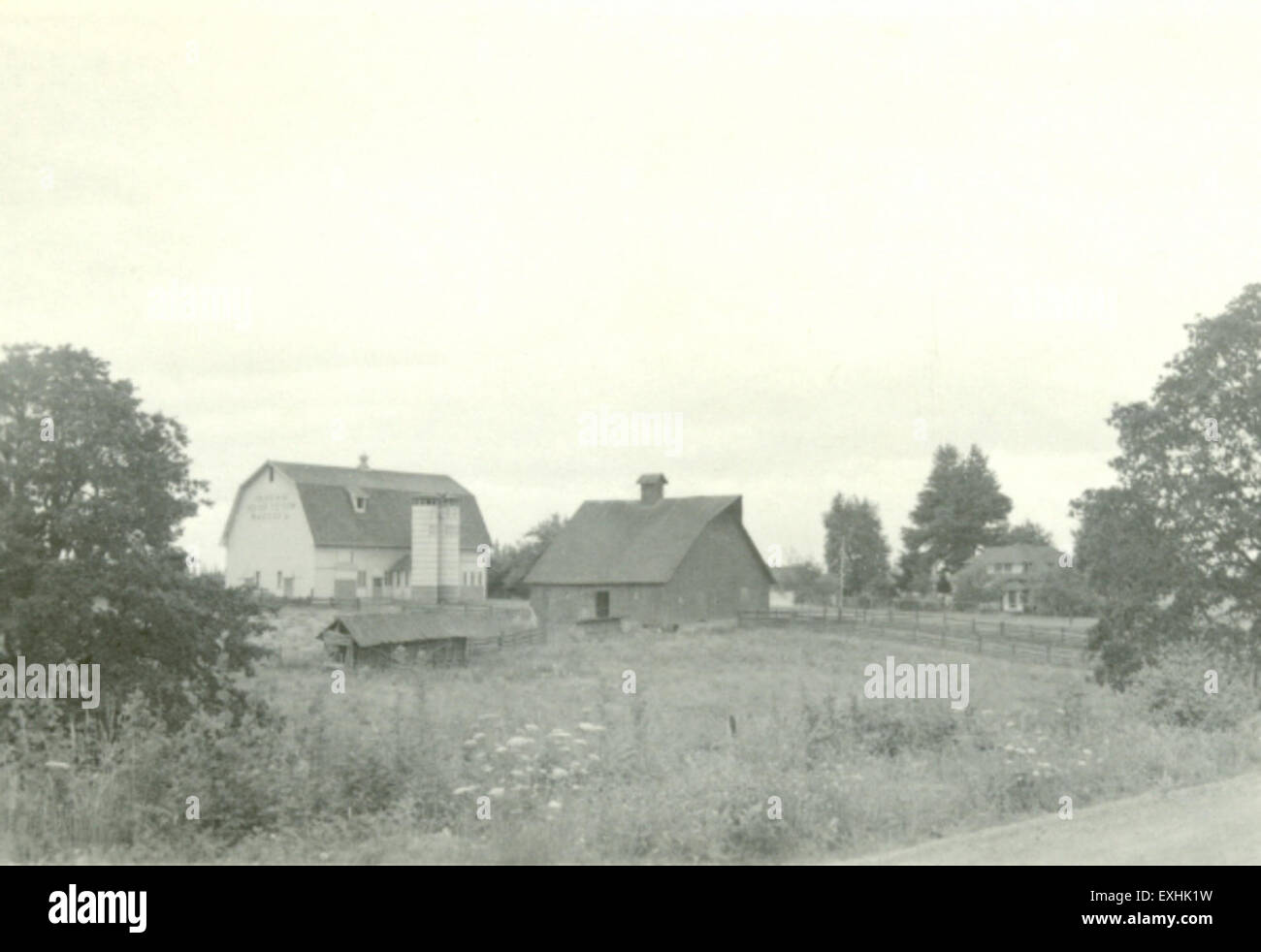 Molalla oregon hi-res stock photography and images - Alamy