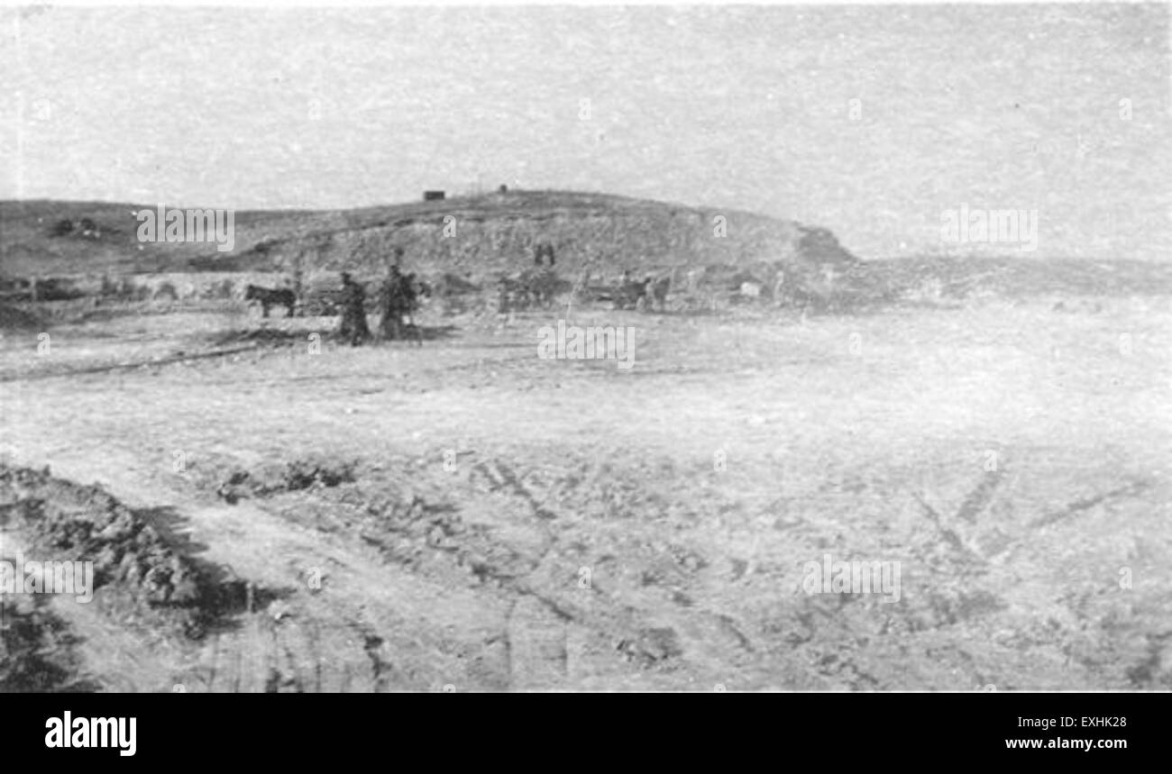 Darkey High Resolution Stock Photography and Images - Alamy