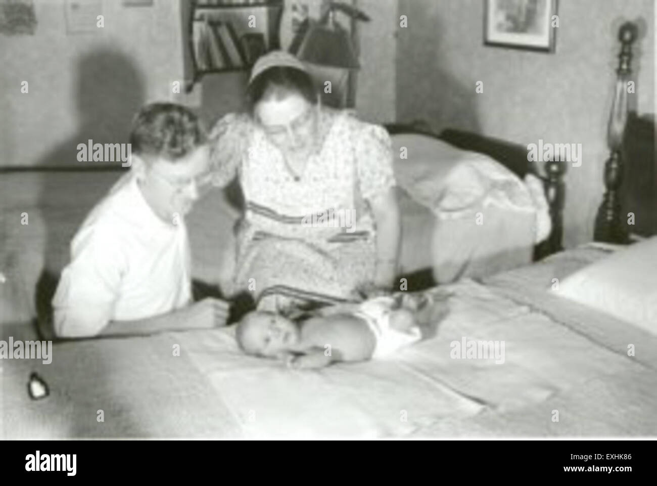 Lauver hi-res stock photography and images - Alamy