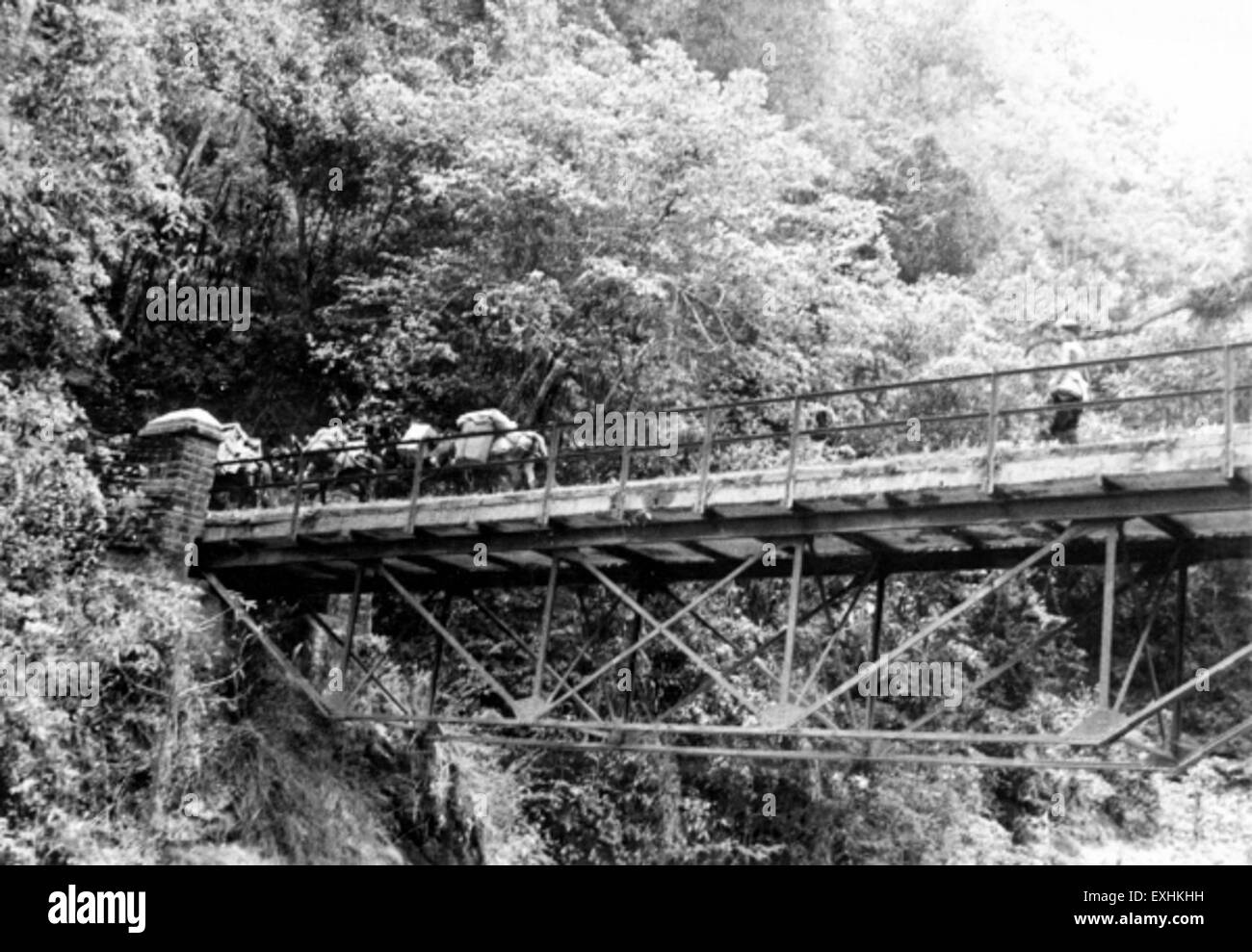 Mule caravan hi-res stock photography and images - Alamy