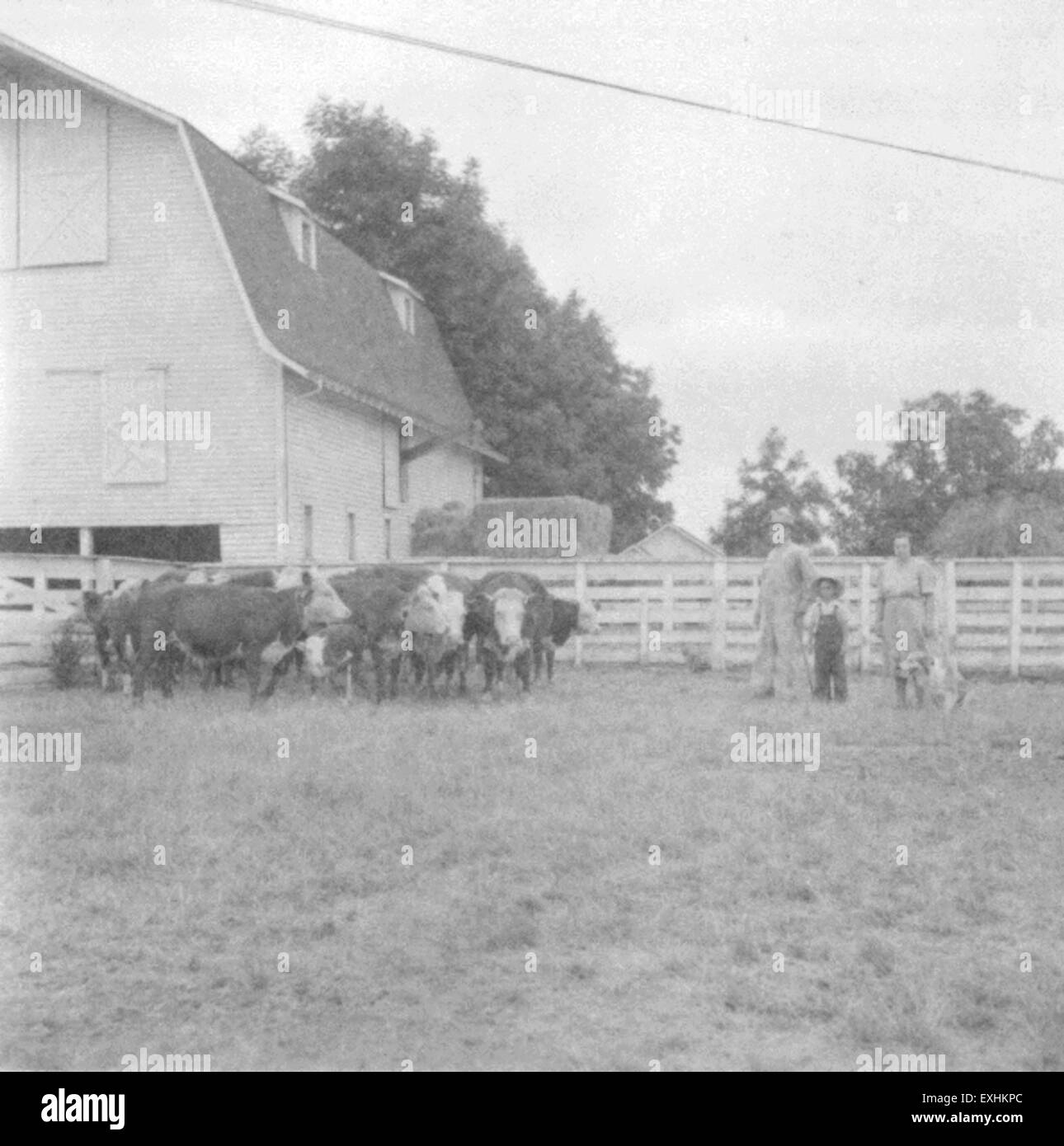 Ecological farms Black and White Stock Photos & Images - Alamy