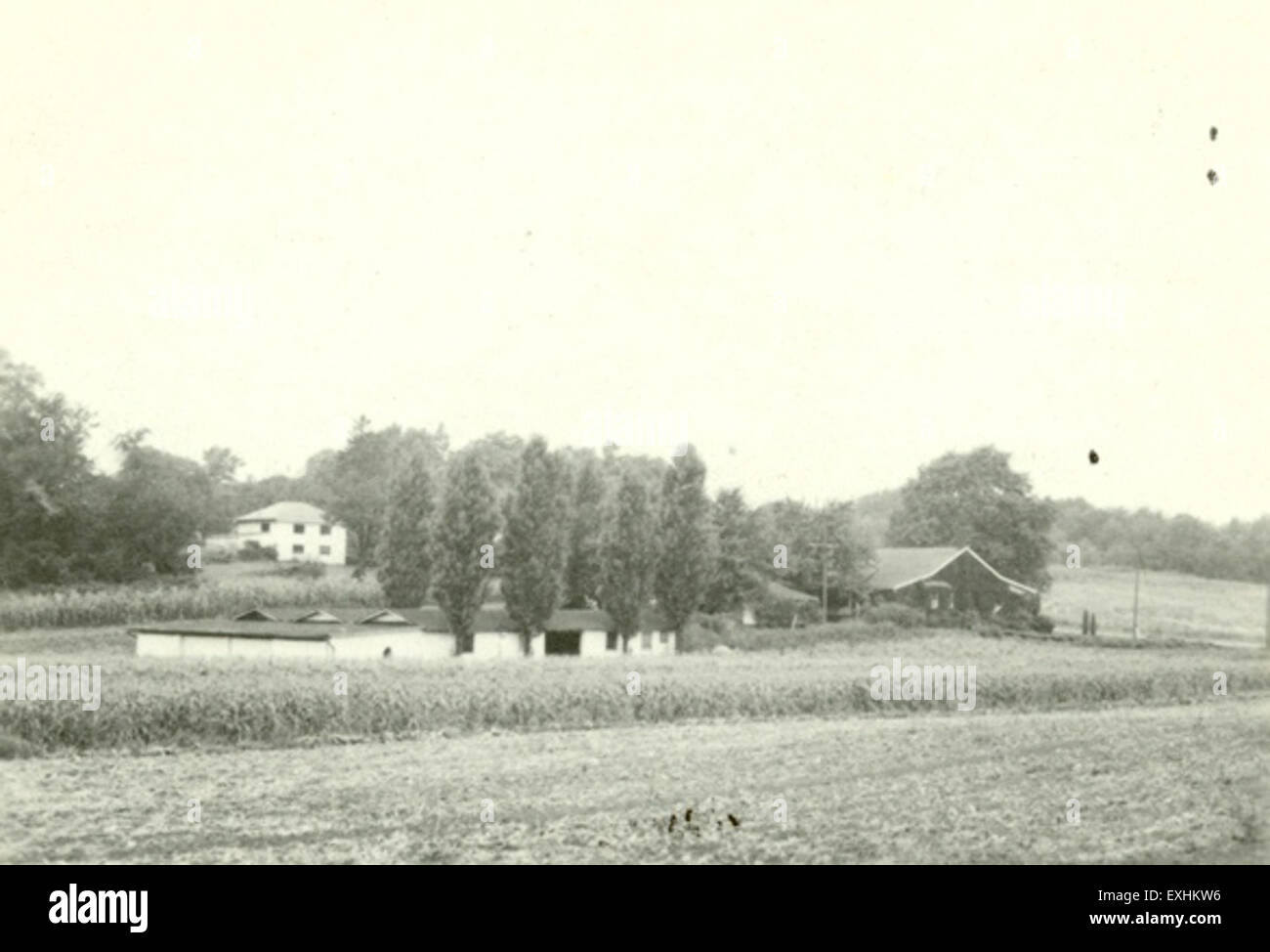 This photograph captures the rural life of the Mennonite community in ...