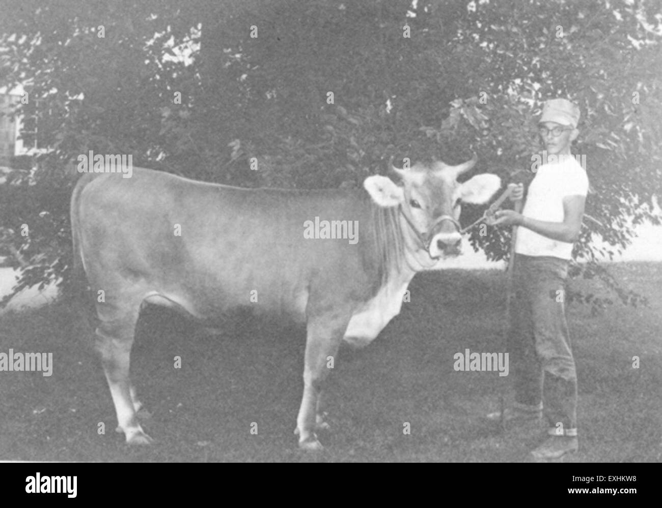 North Lima, Ohio, is a small community located in Mahoning County ...