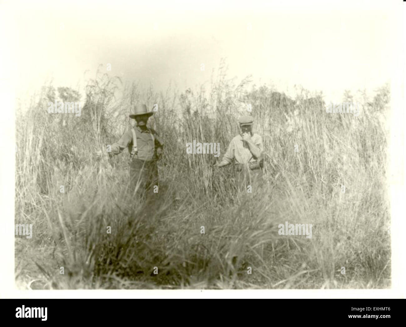 Giesbrecht High Resolution Stock Photography and Images - Alamy