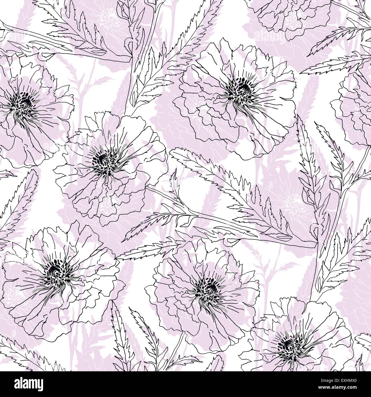 Poppy flower root illustration Stock Vector Images - Alamy