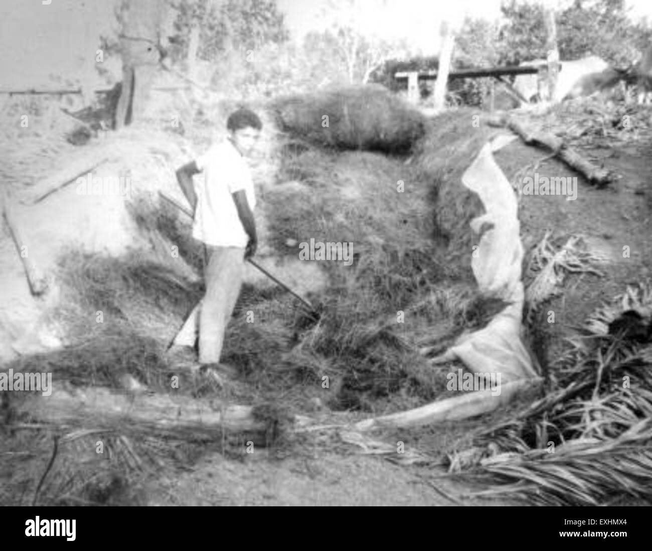 Photograph of a pit silo, a structure used for storing silage ...
