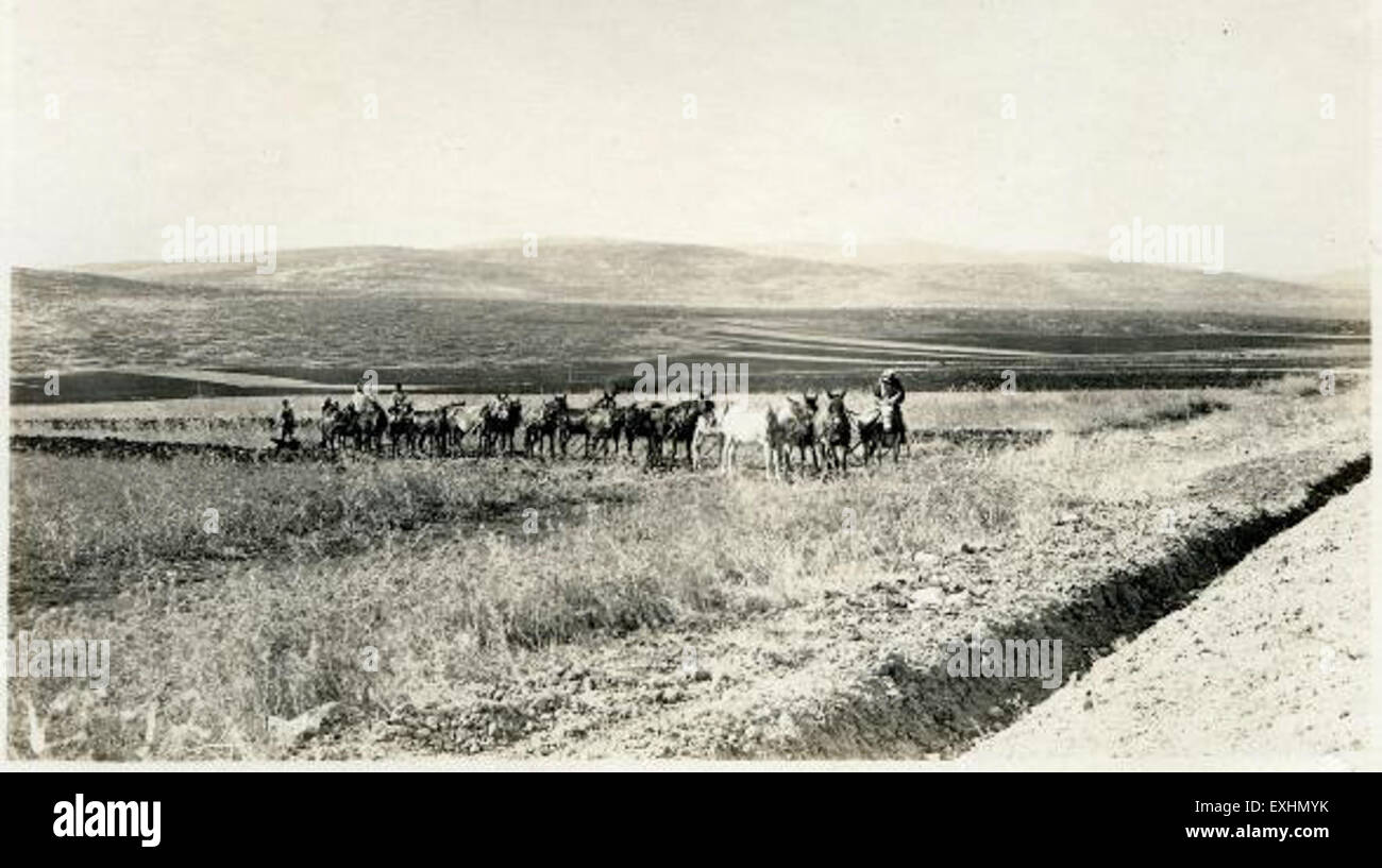 A historical scene depicting the practice of plowing in the Galilee ...