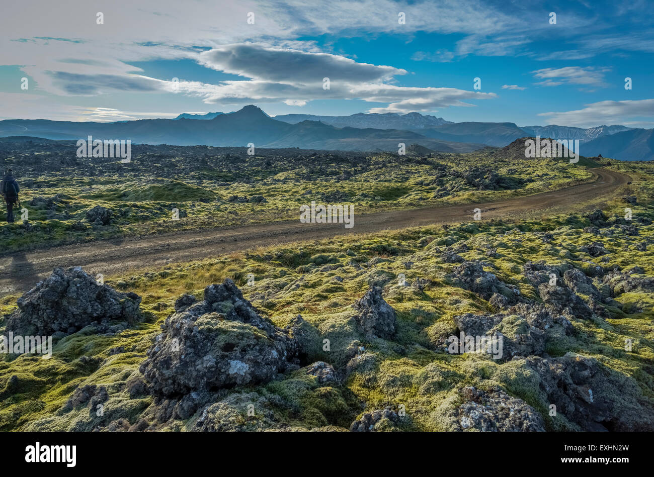 Moss side hi-res stock photography and images - Alamy