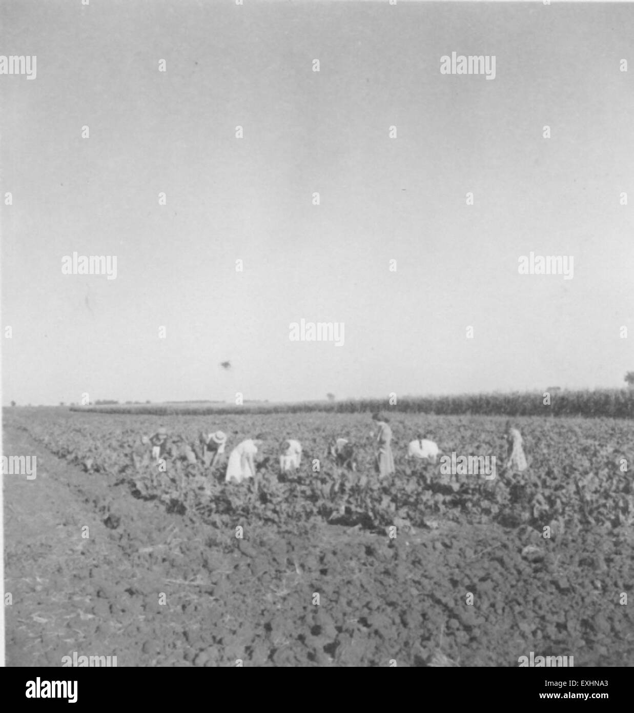 Vintage minnesota Black and White Stock Photos & Images - Alamy