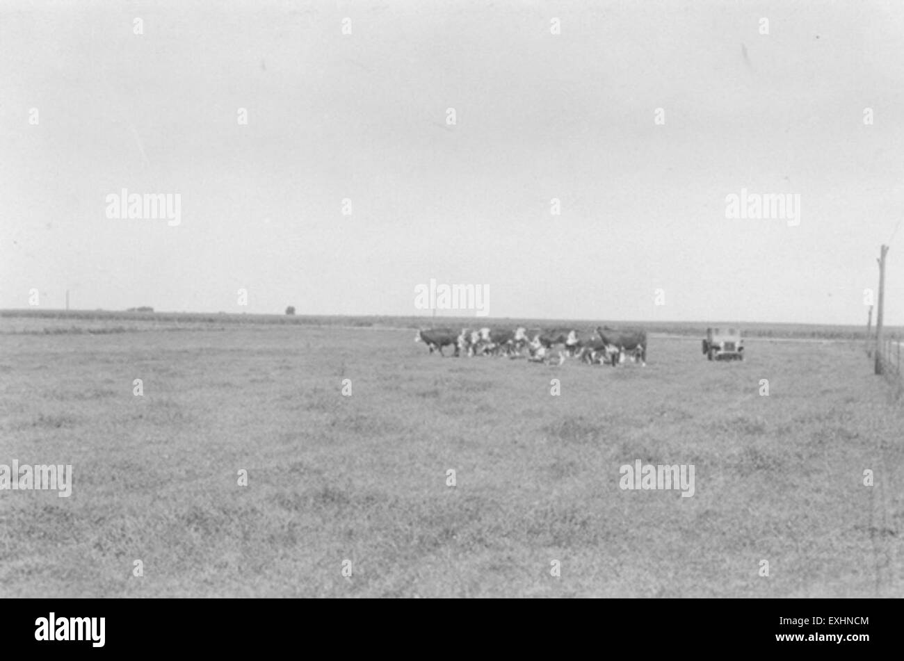 This historical photograph depicts a Mennonite farming community in ...