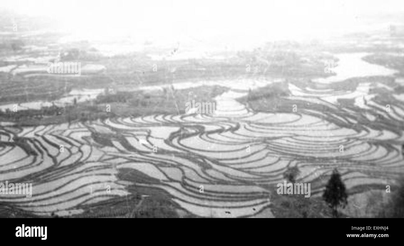 This photograph showcases rice fields in China, illustrating the ...