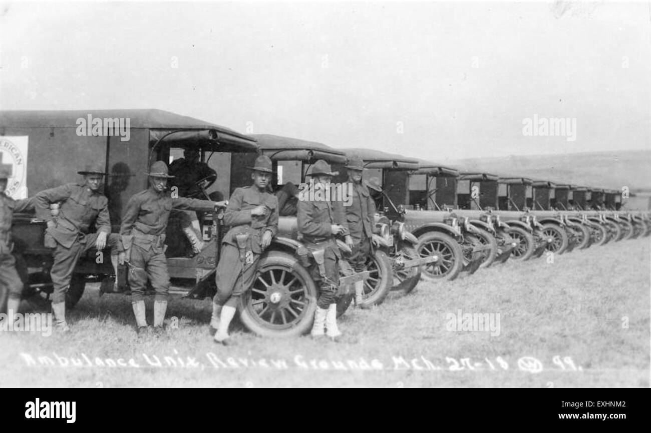 This photograph shows an ambulance unit during a review, where ...