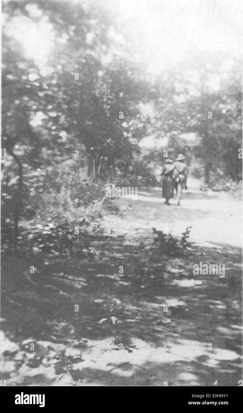 'An Everyday Scene' captures the simplicity and tranquility of daily ...