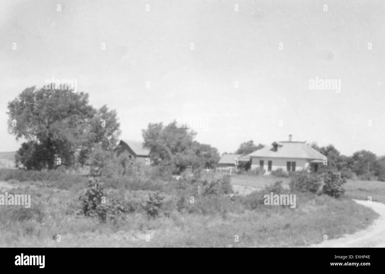 Community farm cairo hi-res stock photography and images - Alamy