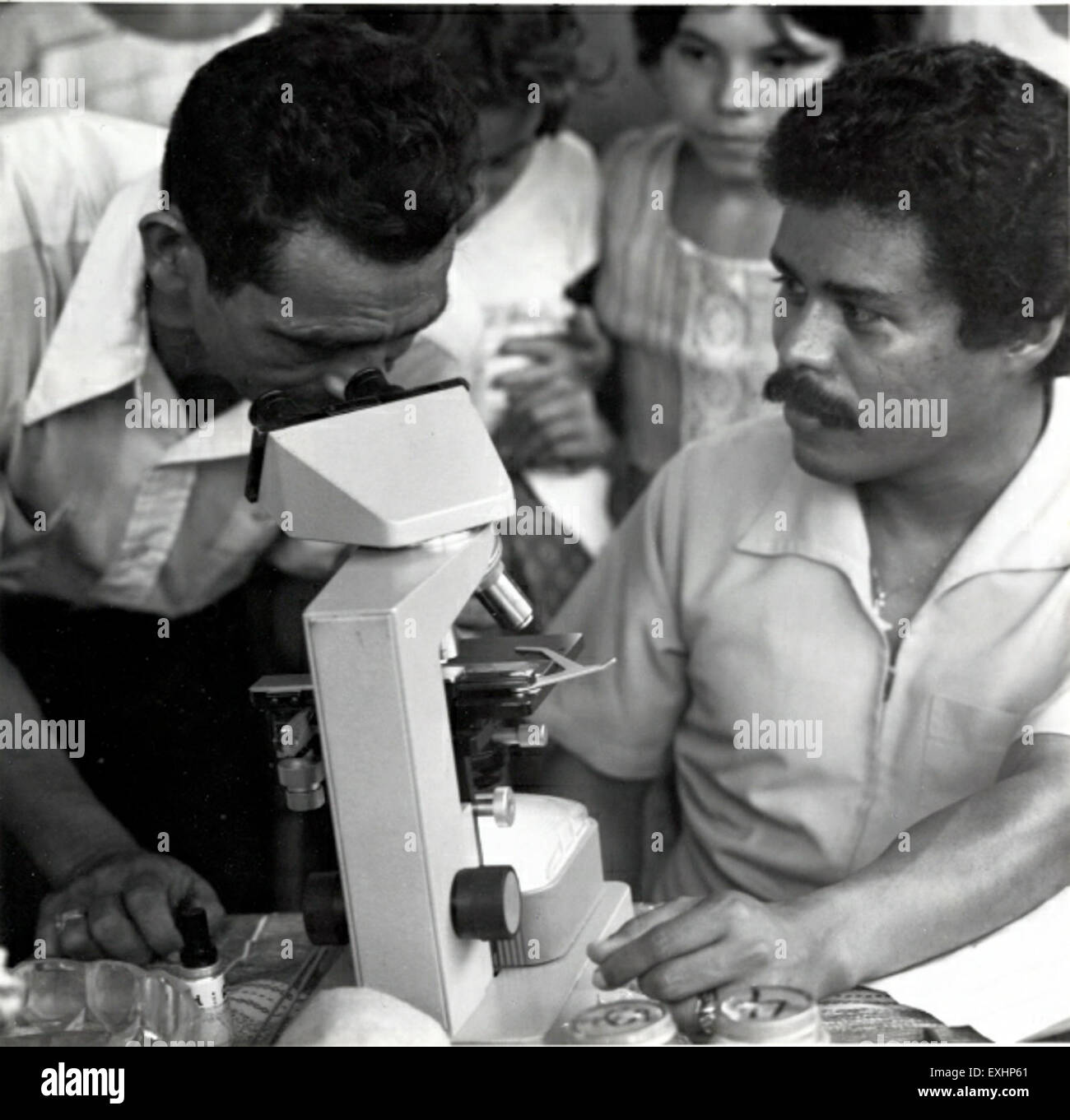 Parasite study hi-res stock photography and images - Alamy