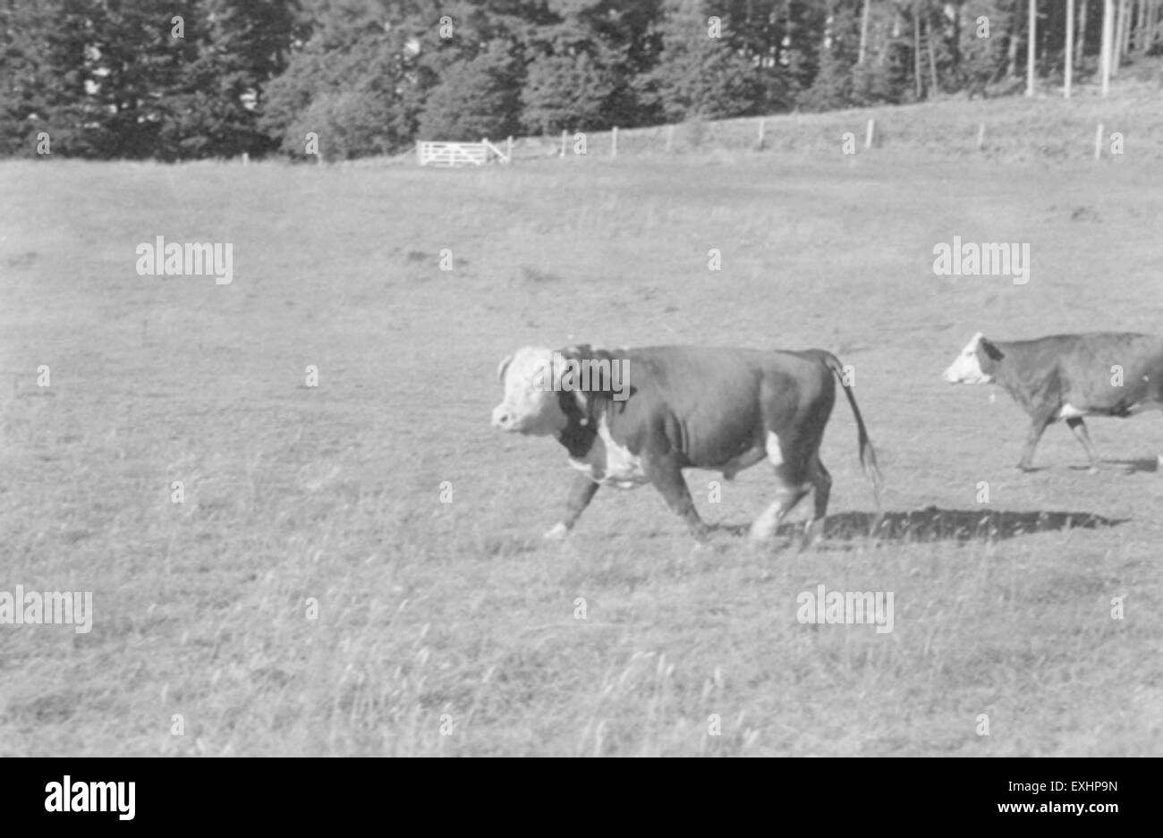 Sheridan oregon hi-res stock photography and images - Alamy