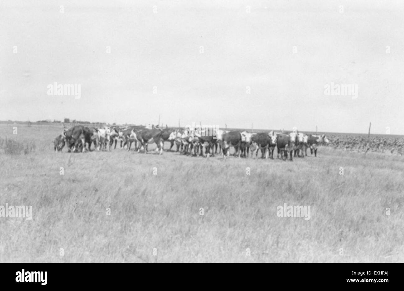 A historic representation of Shickley, Nebraska, offering a glimpse ...