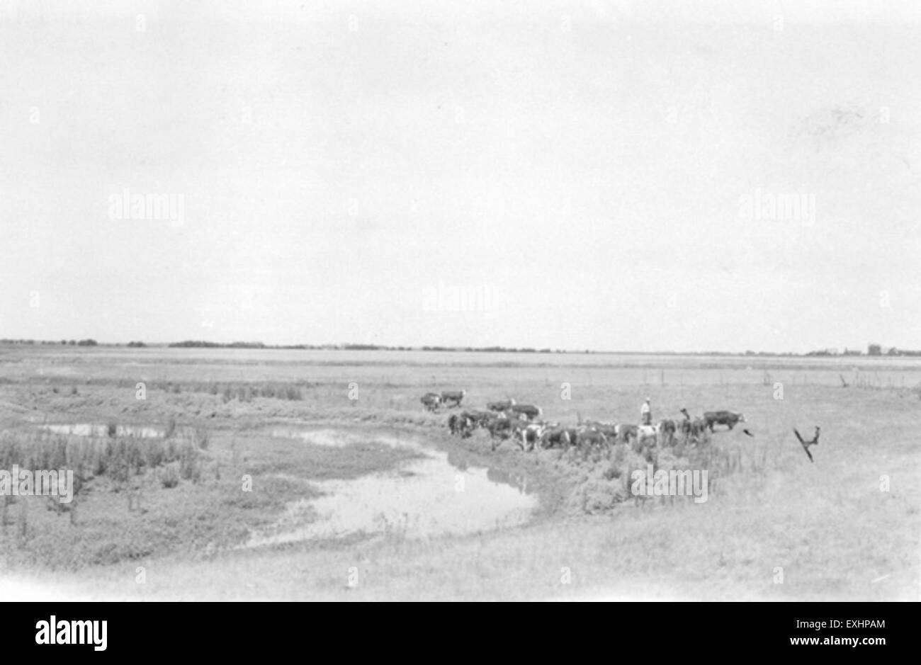 The Mennonite community farms in Shickley, Nebraska, are known for ...