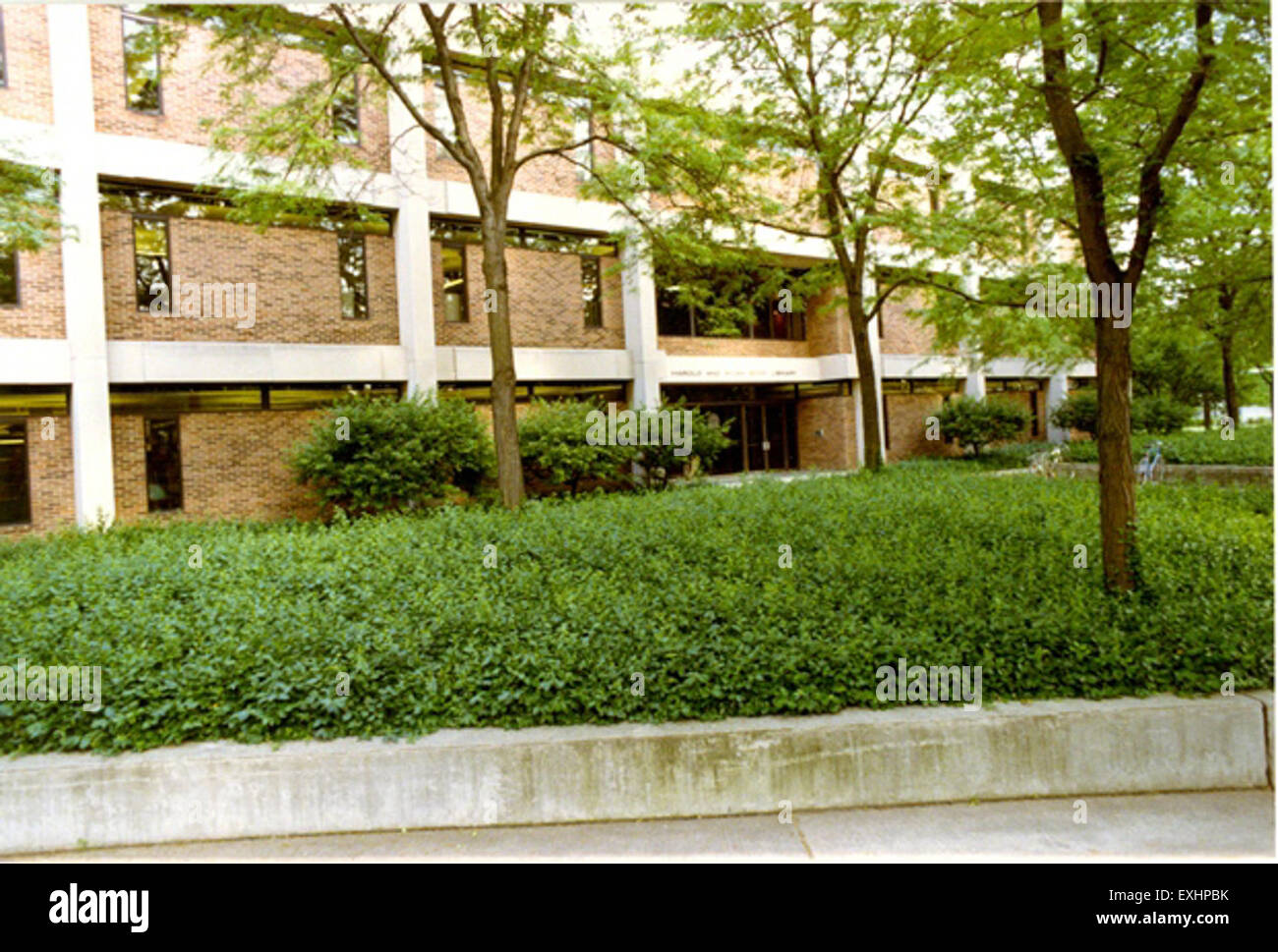 The ‘Side View’ artwork from 1988-89 by Good Library reflects ...