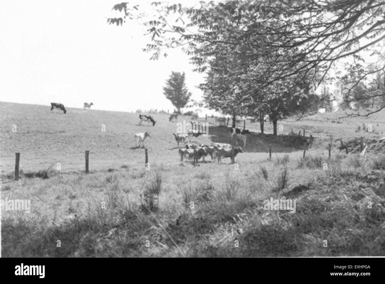 Springs photograph hi-res stock photography and images - Alamy