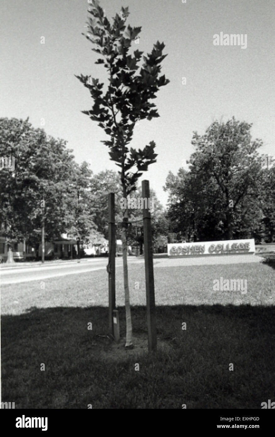 Another photograph hi-res stock photography and images - Alamy