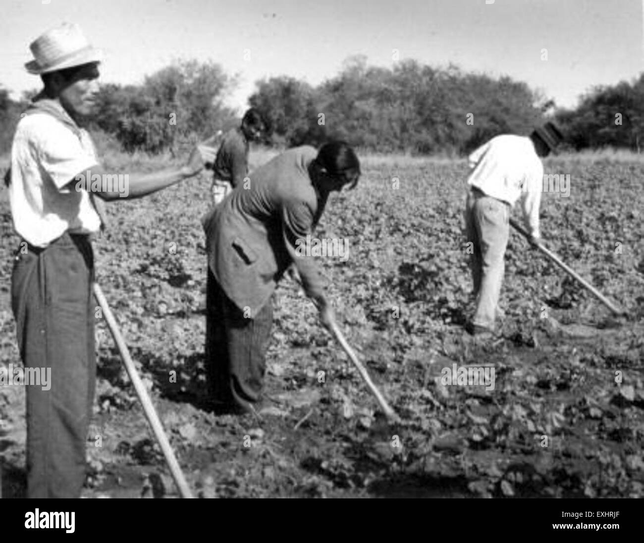 Toba indians chaco argentina hi-res stock photography and images - Alamy