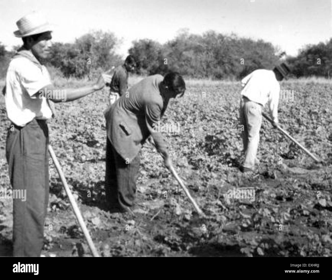 A depiction of the Toba Indigenous people in Chaco, Argentina. This ...