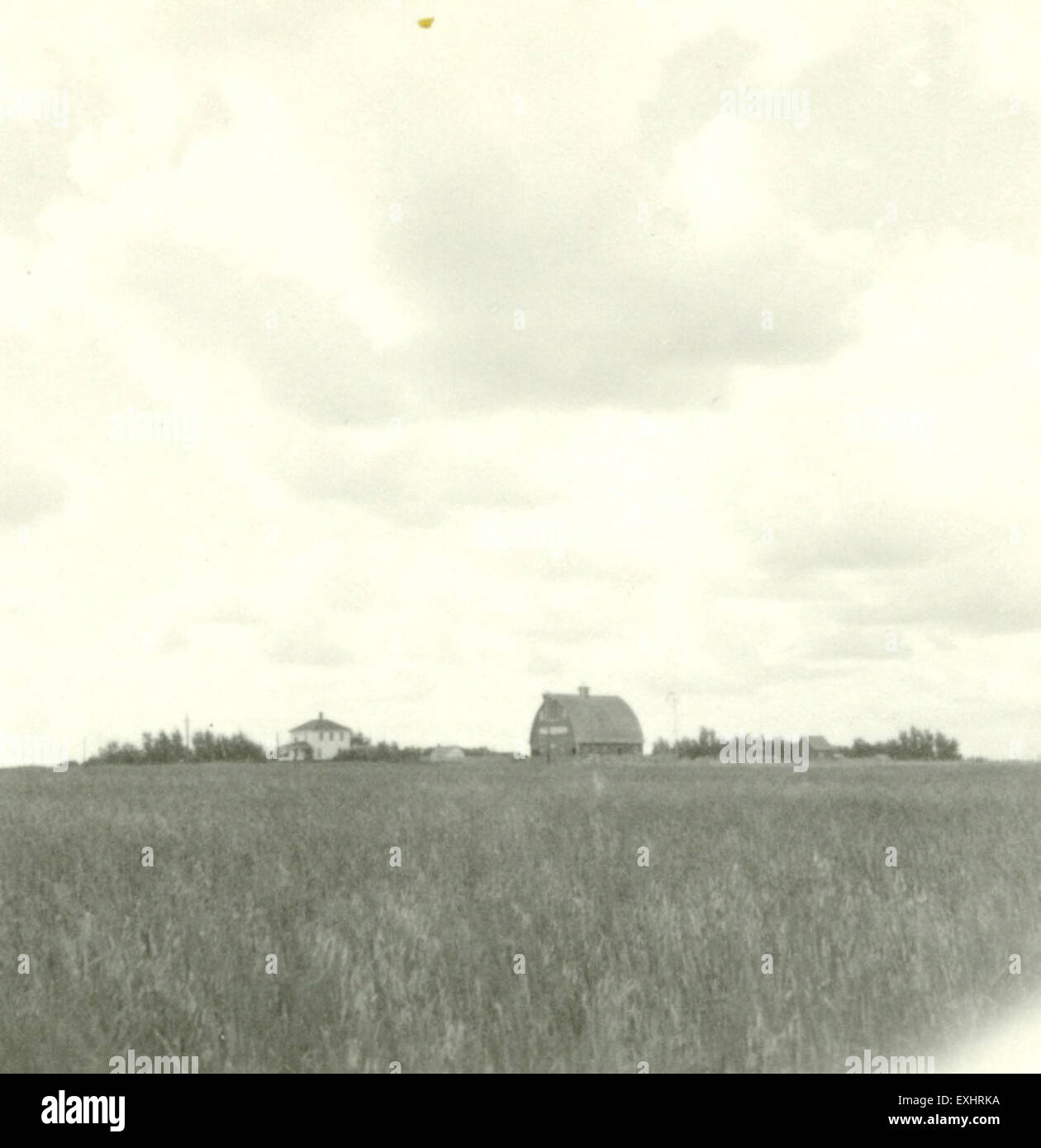 The Mennonite community in Tofield, Alberta, is depicted in this image ...