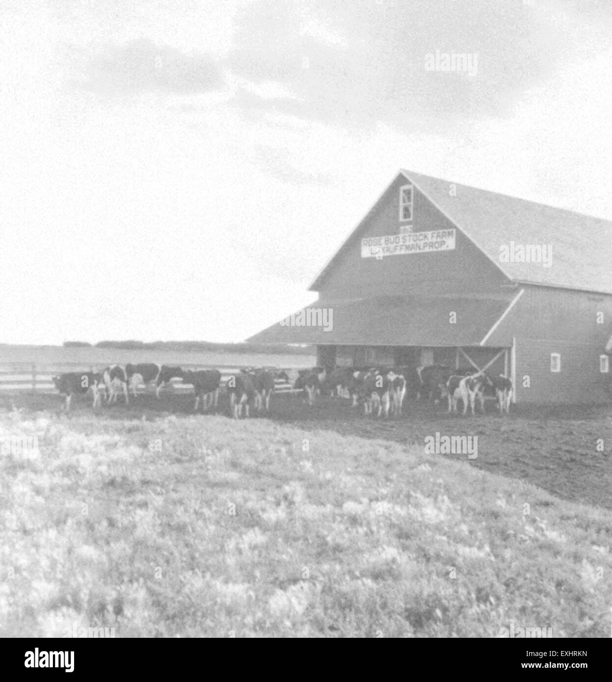 Tofield hi-res stock photography and images - Alamy