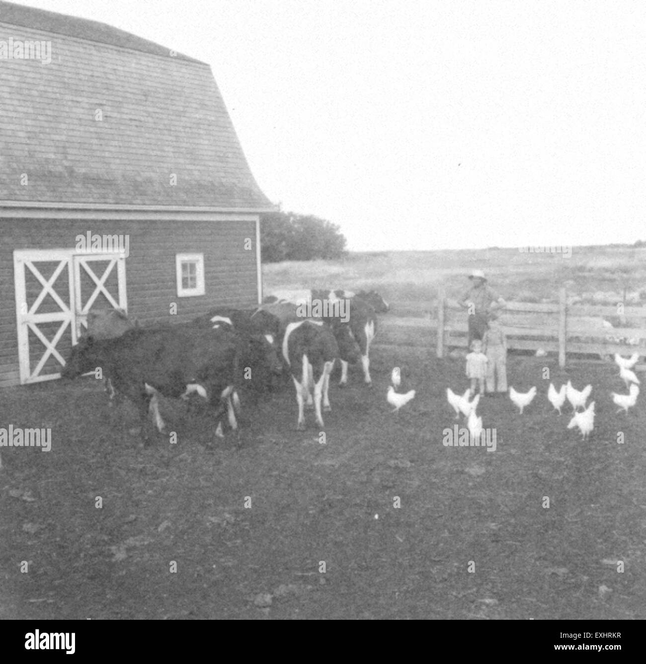 Farming for animals Black and White Stock Photos & Images - Alamy