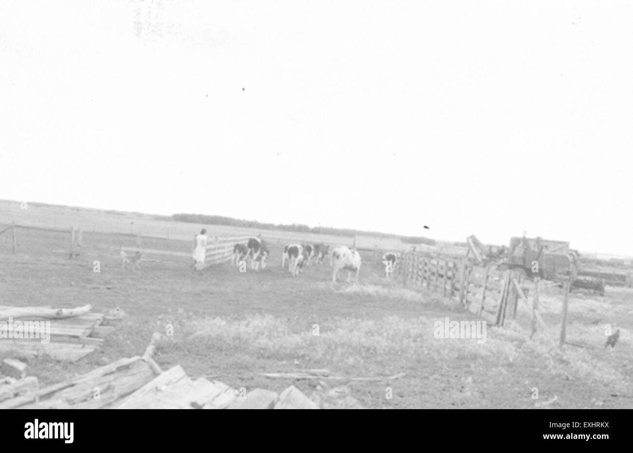 Tofield High Resolution Stock Photography and Images - Alamy